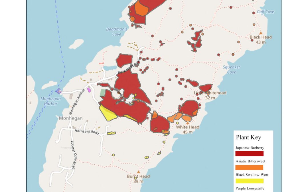 MAI_ Invasive Species Map- ALL SPECIES JAN 2020 | Monhegan Associates, Inc.
